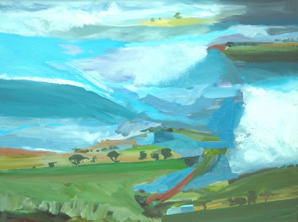 Contemporary abstract landscapes by South Australian artist Lise Temple