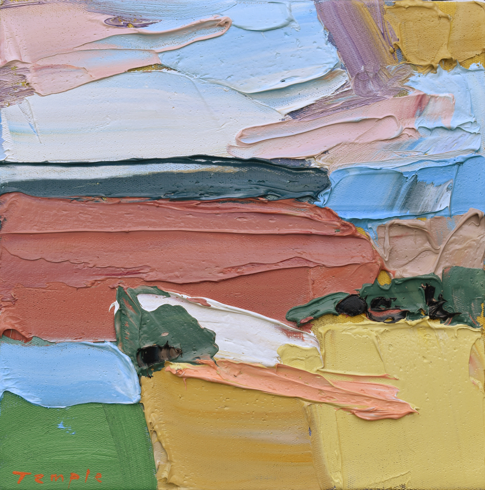 Abstract Landscapes - Studies - Lise Temple South Australian painter