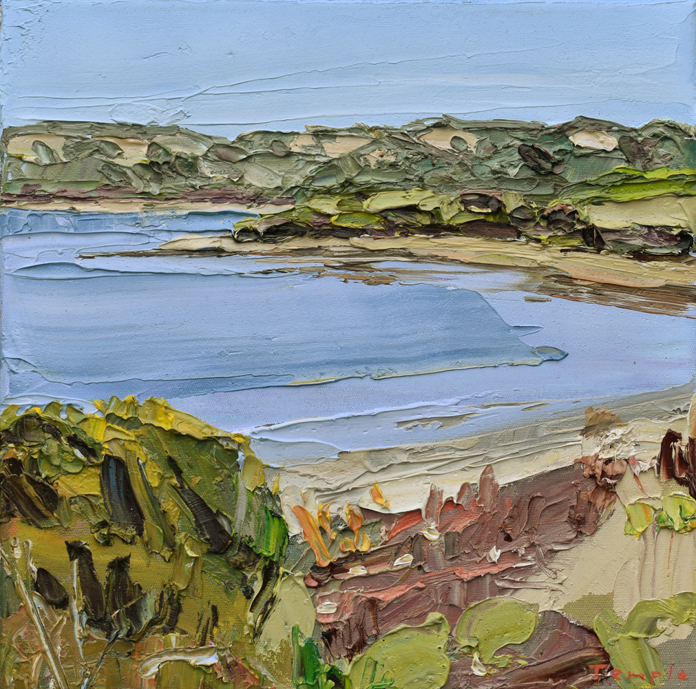 Paintings from Life - Australian Landscapes & Still Life - Lise Temple ...
