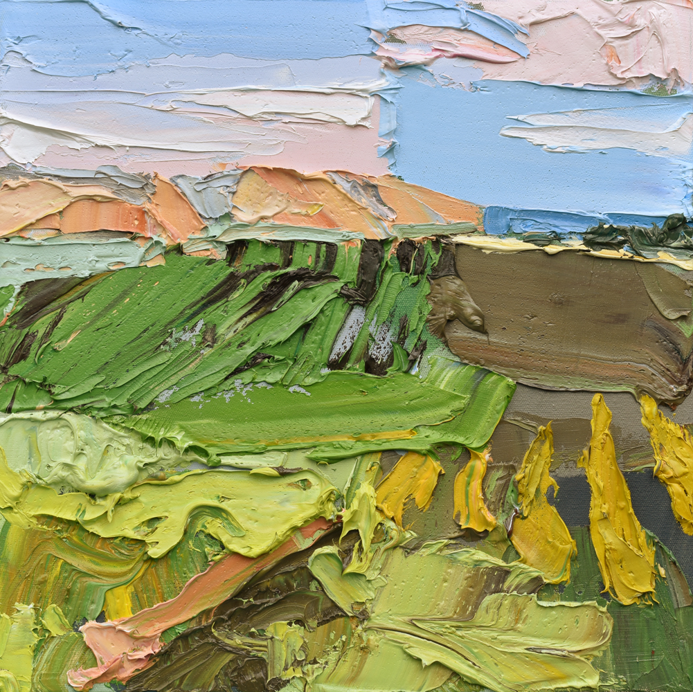 Abstract Landscapes - Studies - Lise Temple South Australian painter