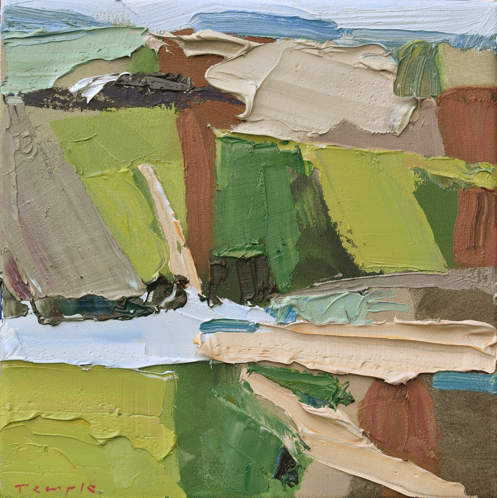 Abstract Landscapes - Studies - Lise Temple South Australian painter