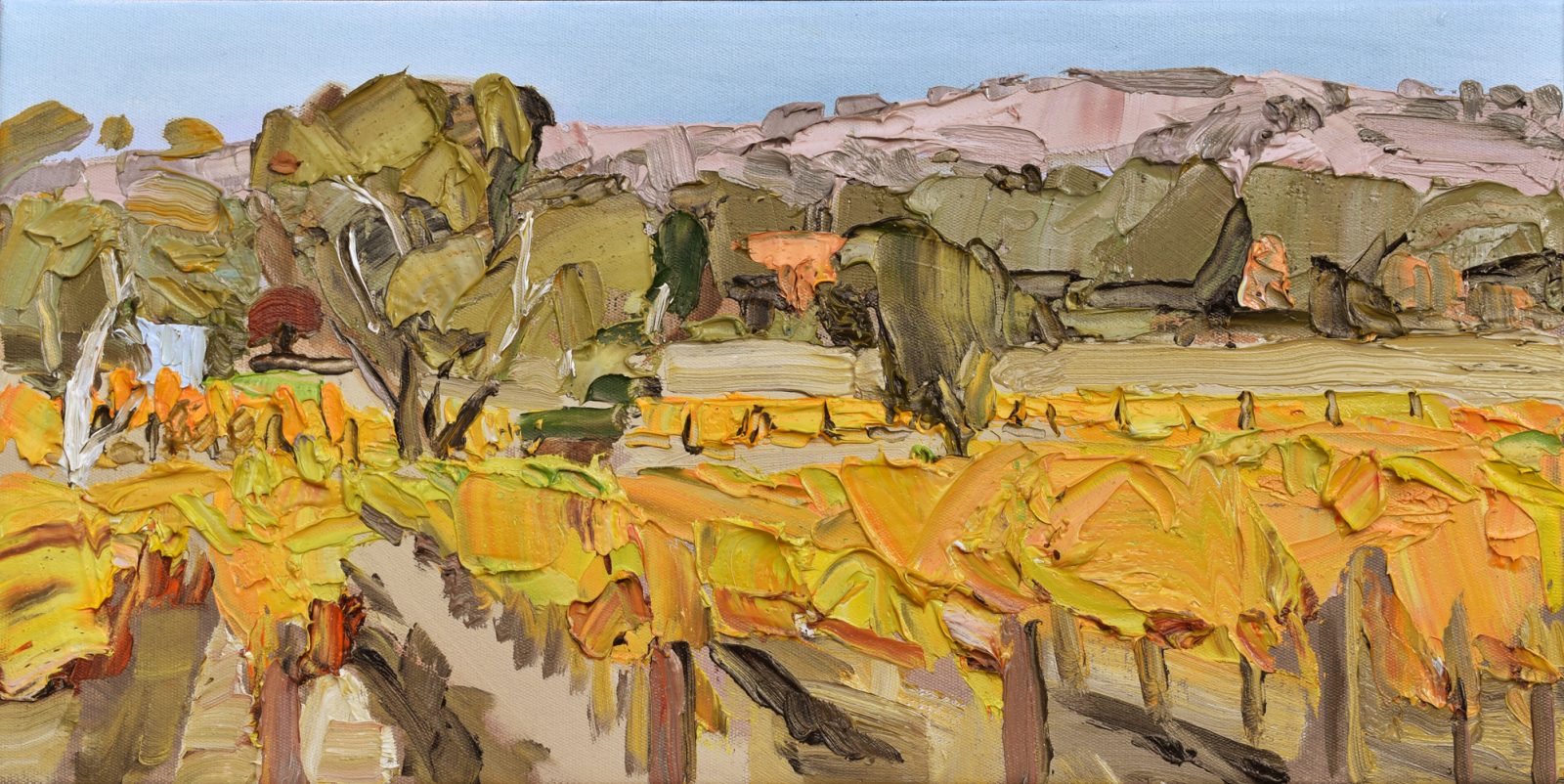 Paintings from Life - Australian Landscapes & Still Life - Lise Temple ...